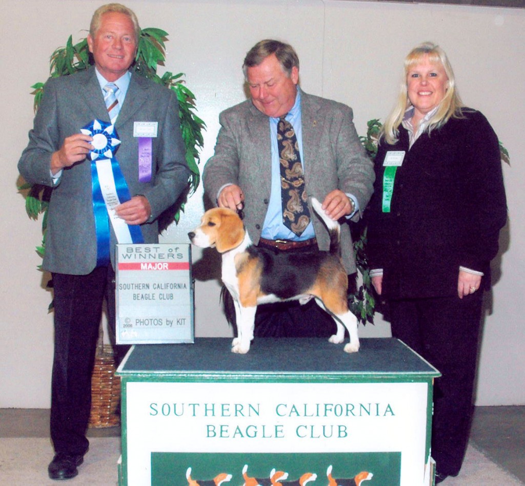 CH AWOL SAMSON DE ALISO “Samson” | AWOL Beagles